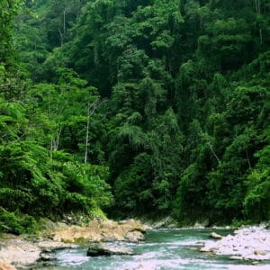 Caliche Rainforest and Adventure Tours - Jamaica Quest Tours
